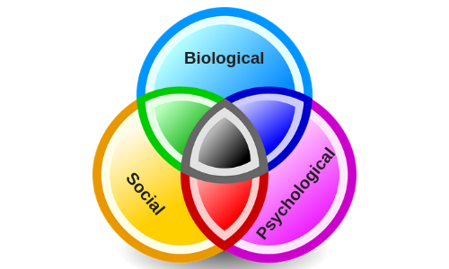 Exploring The Biopsychosocial Model - Recovery College Online