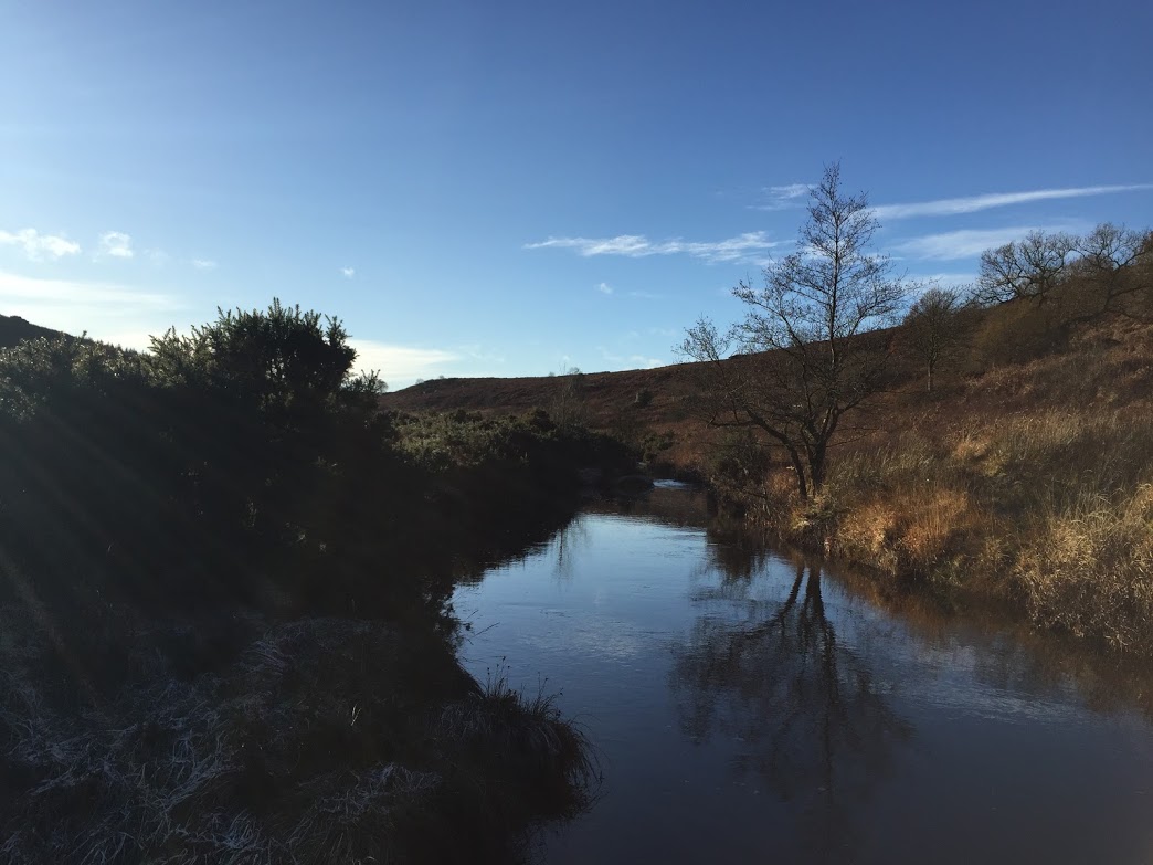 Cold Water Therapy - Recovery College Online